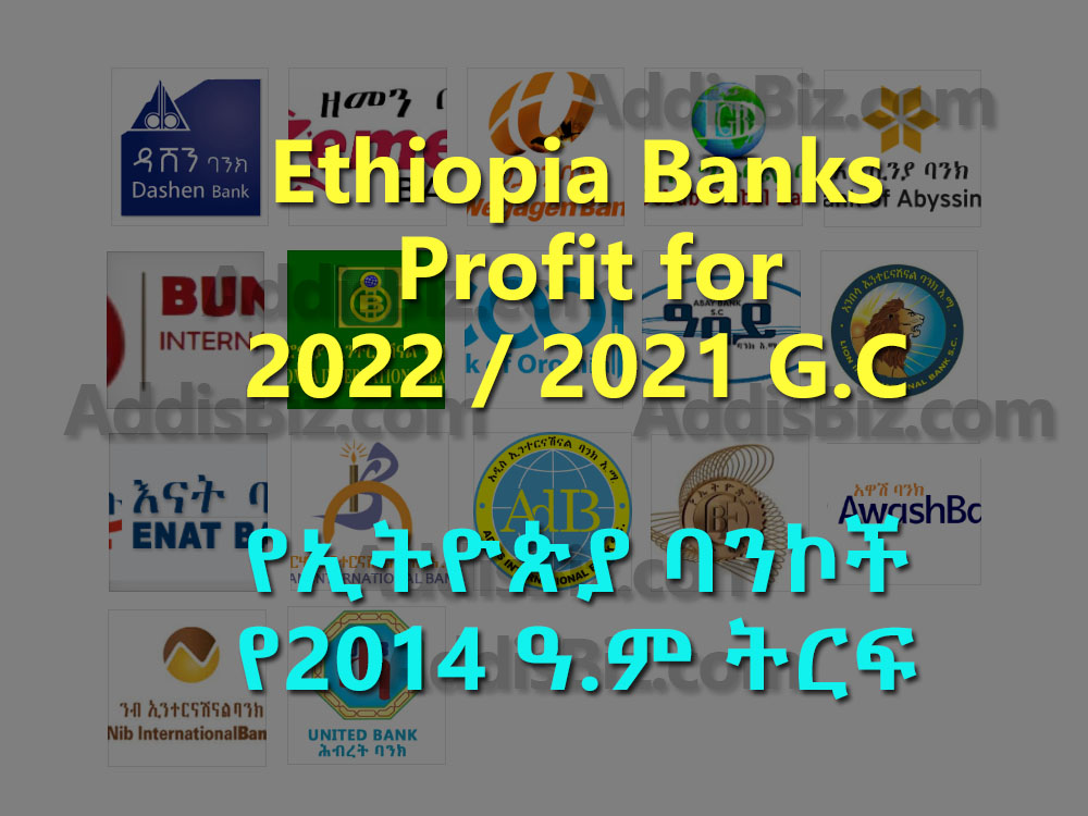 Most Profitable Banks in Ethiopia for 2022/2021 Budget Year | AddisBiz.com
