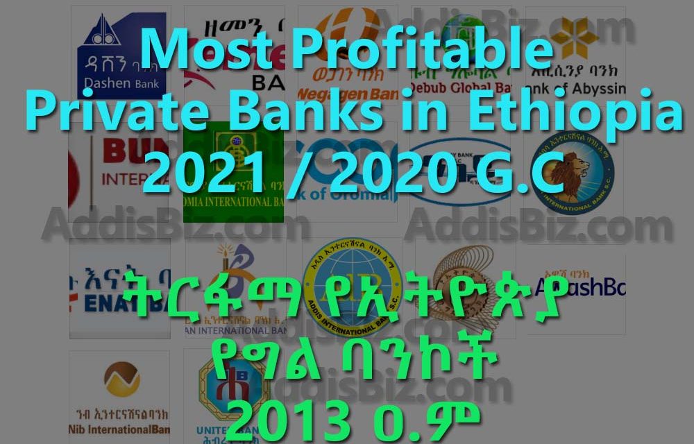Most profitable Ethiopian Private Banks for 2021 / 2020 fiscal year ...