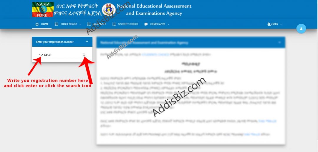 Check NEAEA.gov.et Grade 10 & 12 Matric Exam Results on www.app.neaea ...