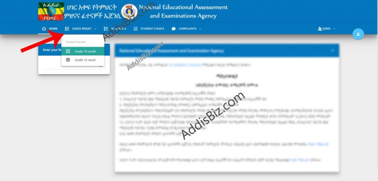 Check NEAEA.gov.et Grade 10 & 12 Matric Exam Results on www.app.neaea ...